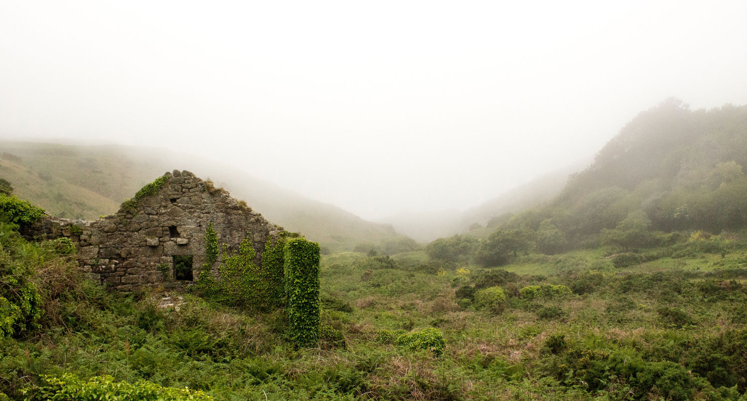 gdi-bg-4 - GDI DETECTORS